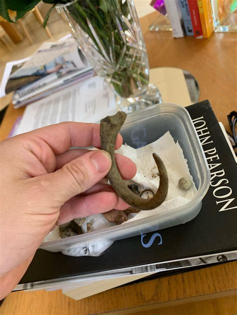 Help Identifying Please R Metaldetecting