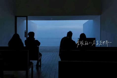 淡淡的具有生命力的文案 知乎