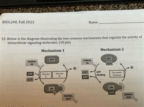 Cell Molec Exam 4 Flashcards Quizlet