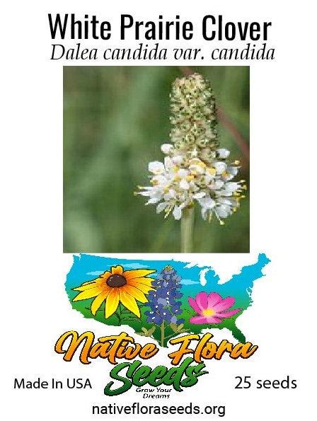 White Prairie Clover