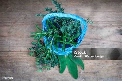나무 표면에 작은 바구니에 로즈마리 오레가노 세이지와 백리향의 가지 0명에 대한 스톡 사진 및 기타 이미지 0명 건강관리와 의술 건강한 식생활 Istock