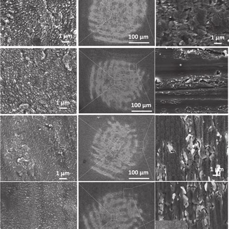 Sem Images Revealing The Surface Morphology Of Zirconium Samples After Download Scientific
