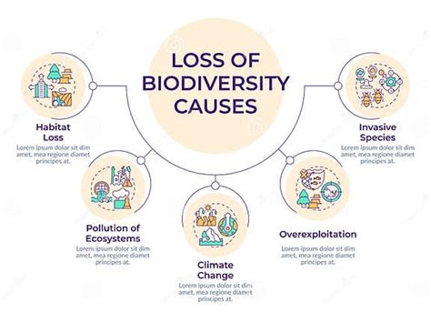 Major Causes Of Biodiversity Loss Circular Diagram Infographic Stock Illustration Illustration