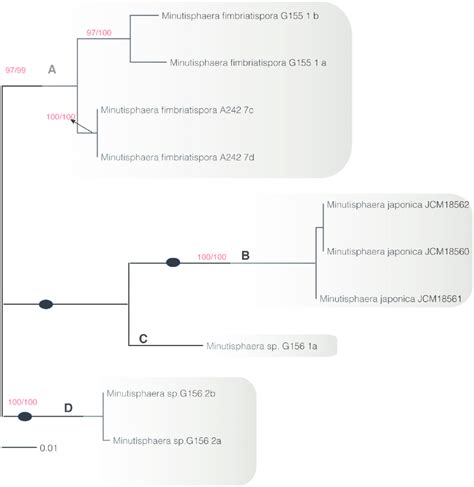 Phylogram Of The Most Likely Tree 2lnl 5 1334 69 From A Phyml
