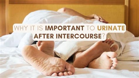 Why Is It Important To Urinate After Intercourse Boldsky Com