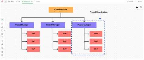 Project Management Organizational Structures 5 Free Templates