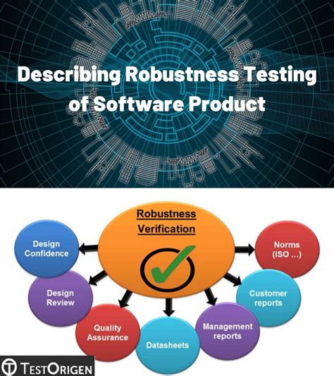 describing robustness testing of software product testorigen