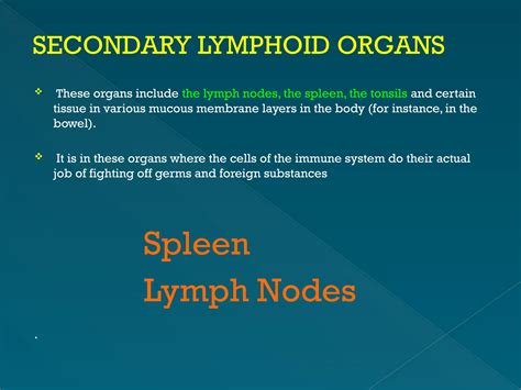 Secondary Lymphoid Organs Immunotechnology Pptx