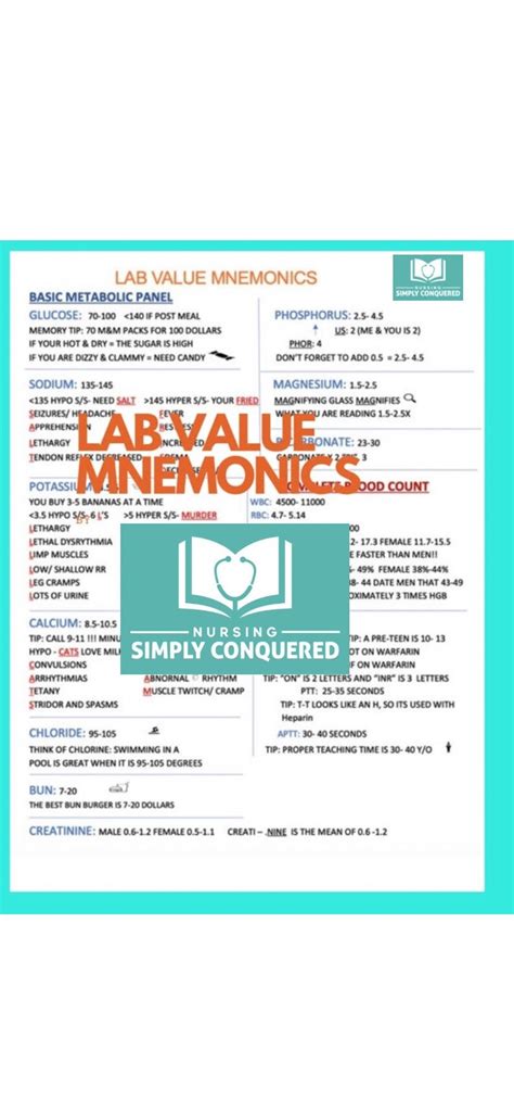 Lab Value Mnemonics Memory Tricks Etsy