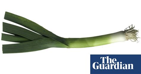 Leek Images 57 Koleksi Gambar