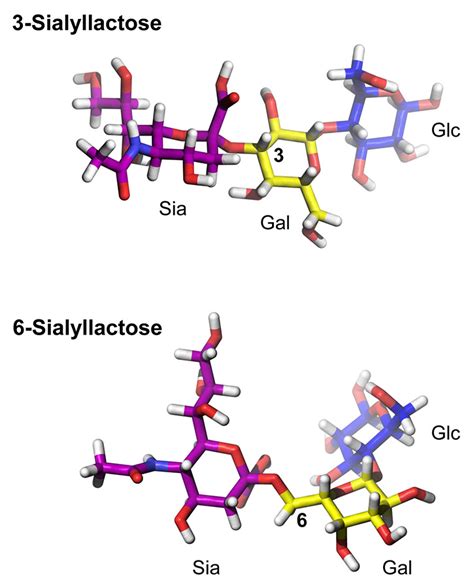 Decoding Breast Milk Oligosaccharides