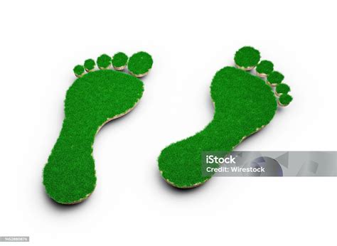흰색 배경에 격리된 푸른 잔디와 바위 땅으로 만든 발자국 모양 3차원 형태에 대한 스톡 사진 및 기타 이미지 3차원 형태 개념 개념과 주제 Istock