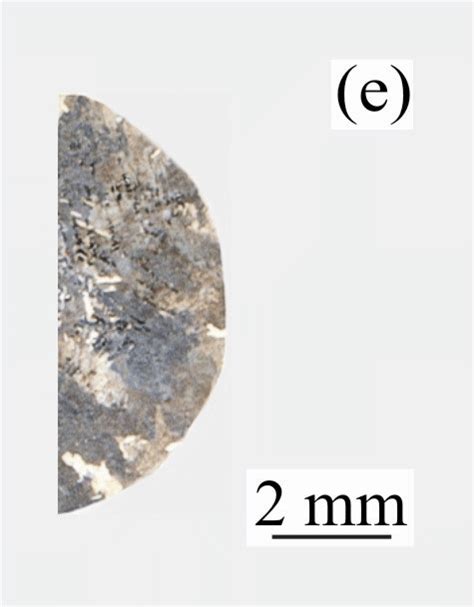 Om Showing Macrostructure Of Ds Samples Prepared At A Constant Download Scientific Diagram