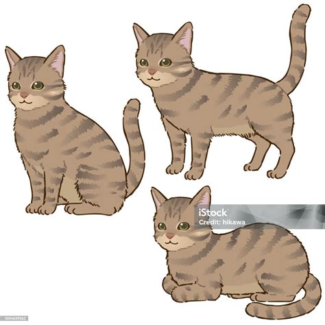 Various Poses Of The Brown Tabby Cat Stock Illustration Download