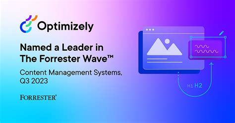 optimizely on linkedin have you taken a look at this recent report