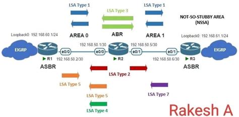 Everything About Networking Ospf Lsa Types