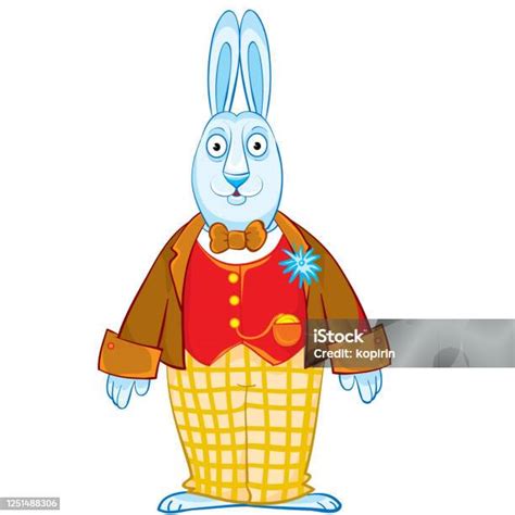 체크 가 바지 빨간 조끼 흰색 배경에 고립 된 물체를 입고 토끼 신사 벡터 일러스트 0명에 대한 스톡 벡터 아트 및 기타 이미지 0명 개념 귀여운 Istock