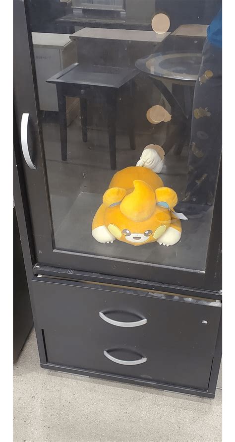 I Encountered A Wild Pawmi R Pokeplush