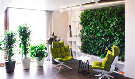 Растения искусственные для интерьера купить в интернет магазине с доставкой по Москве