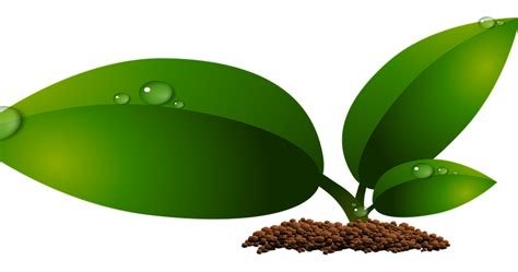 Sistema Di Irrigazione Con Arduino V3 Danielealbertiit