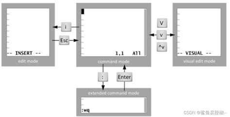 Linux文件管理 Csdn博客