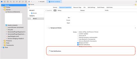 Ios Flutter Missing Purpose String In Infoplist Missing Push