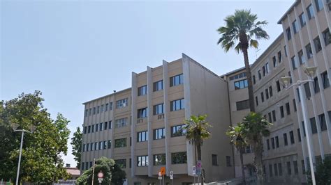 Suni Vignette Sui Social Esposto Del Sindaco