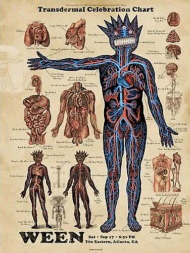 Ween Poster Atlanta 2022 Night 2 Emek 917 September The Eastern