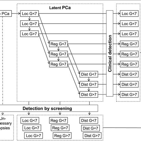 Structure Of The Oncotyrol Pcop Model Pca Prostate Cancer Loc Download Scientific Diagram