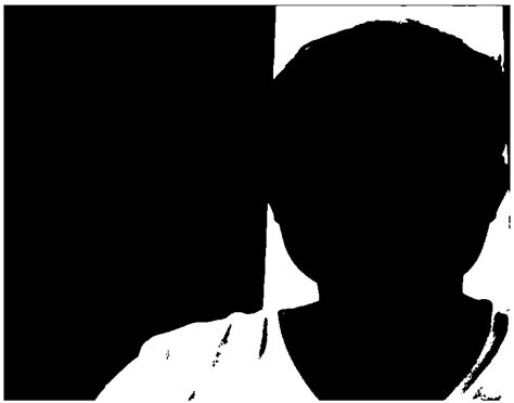 real time target tracking method through particle filtering and sensing