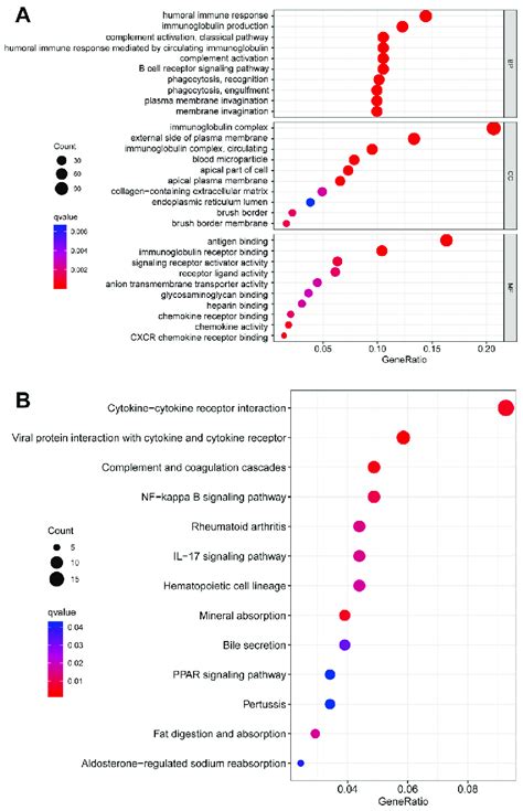 An Analysis Of Go And Kegg Data Between Patients At High Risk And Those Download Scientific