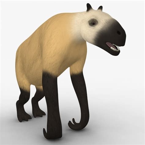 Ma Chalicotherium Animal