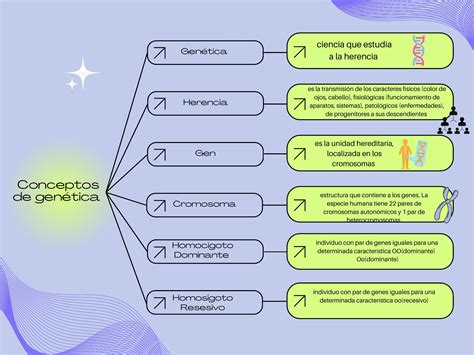 Diagrama De Genetica Humana