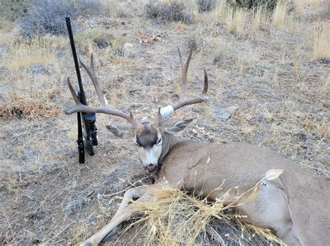 Hunts 4 Two One Couples Adventure Journal California Mule Deer With