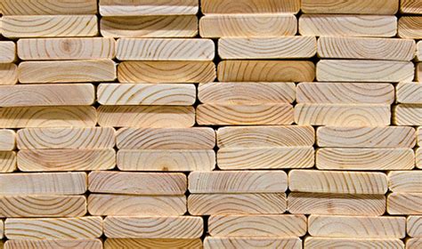 § 4 Властивості деревини