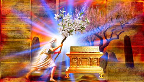 Almond Meaning In The Bible Symbol Of Awakening