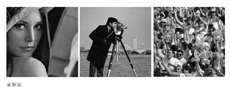 Define Spatial And Gray Level Resolution Explain About Isopreference Curves Legend Techz