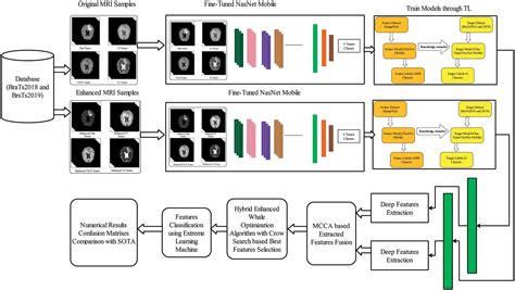 cmc free full text deep net fine tuned deep neural network multi features fusion for brain