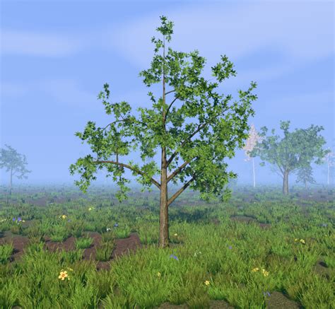 Fractals To Forests Creating Realistic 3d Trees With Threejs Codrops