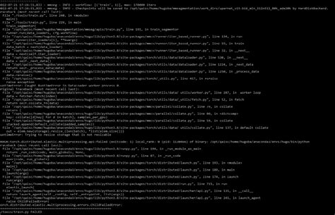 Error Trying To Resize Storage That Is Not Resizable Training With Tools Dist Train Sh Issue