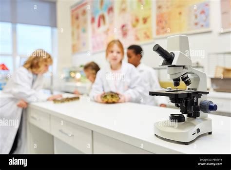 Microscope In Primary School Lab With Pupils Of Biology Class In The