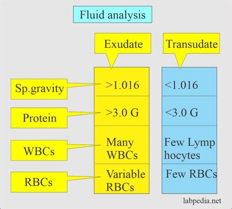 Fluid Analysis Part 4 Ascitic Fluid Analysis Peritoneal Tap