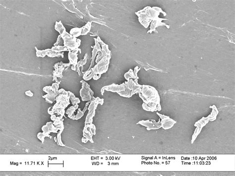 Identification Of Nanometre Sized Ultra High Molecular Weight