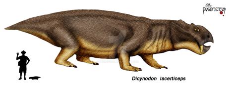 Dicynodon Lacerticeps By Theropsida On Deviantart