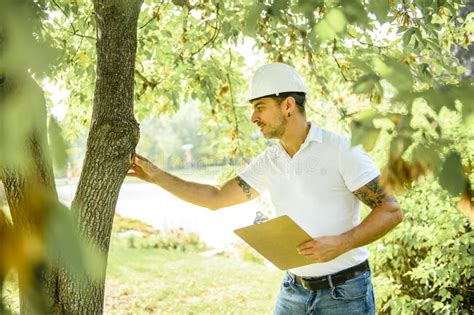 man with a white hard hat holding a clipboard inspect tree stock image