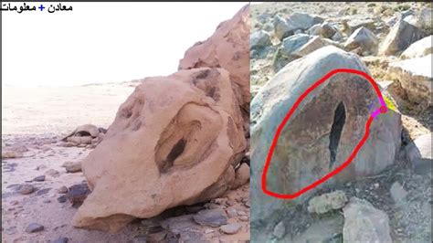 تحليل اشارة الفرج بجميع الاوضاع Youtube