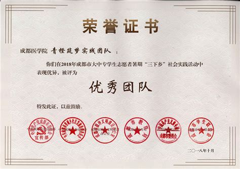 学校三下乡工作获五项市级表彰 成医新闻网