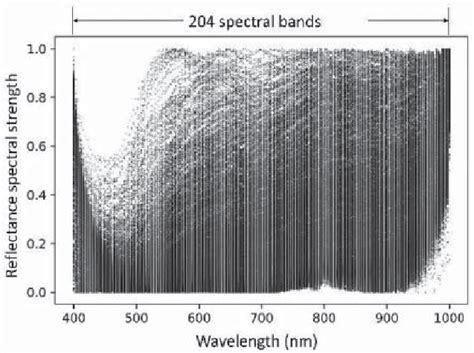 Rock Hyperspectral Signatures From A Database With Eight Igneous Rock