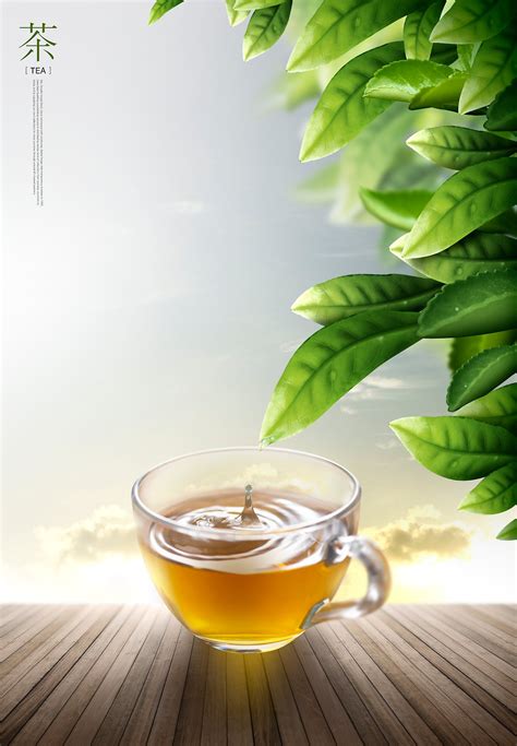 중국 차문화 중국차 종류와 중국 차 브랜드top3 네이버 포스트