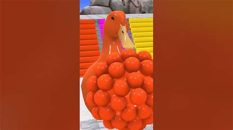 Gadi Or Gubara Youtube